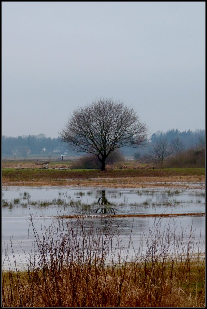 Vereiste Landschaft – Barbara Wenzel-Winter's Blog